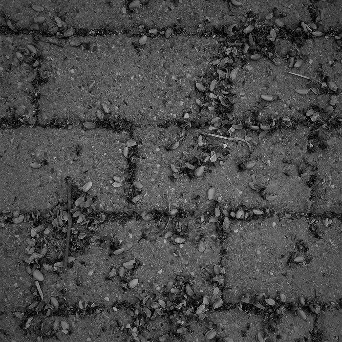 Model for Assembl / JUANITO))) | Model for Assembl / JUANITO))) | Model ...