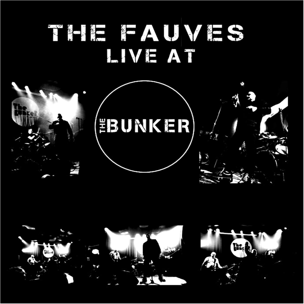 The Fauves Live At The Bunker | The Fauves | The Fauves (South Shields UK)