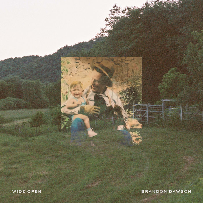 Wide Open | Brandon Dawson