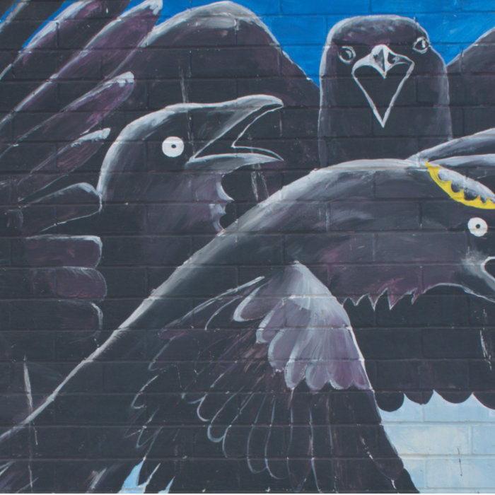 The Circling Crows | The Circling Crows