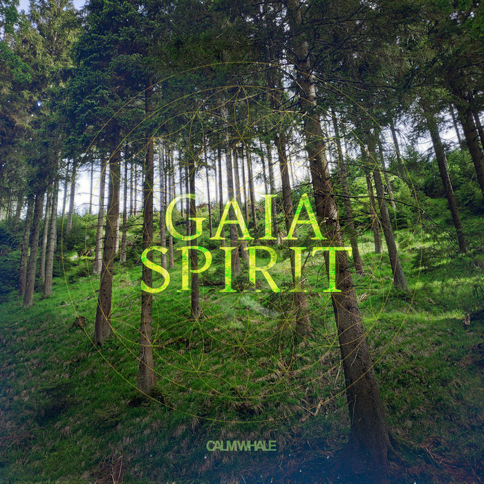Gaia Spirit Grounding Meditation | Calm Whale