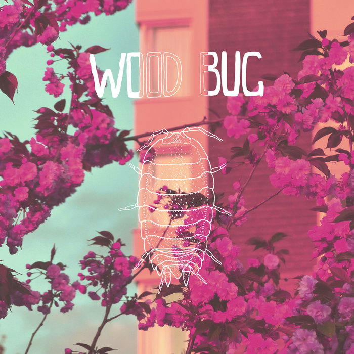 Wood Bug | Alex Archibald