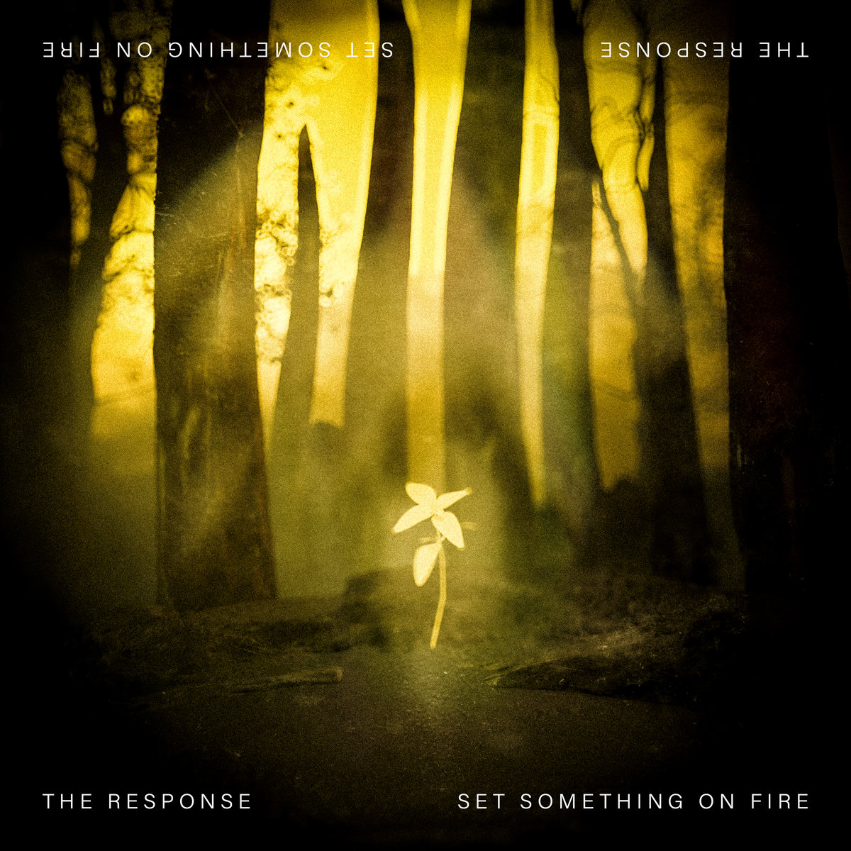 Set Something On Fire | The Response