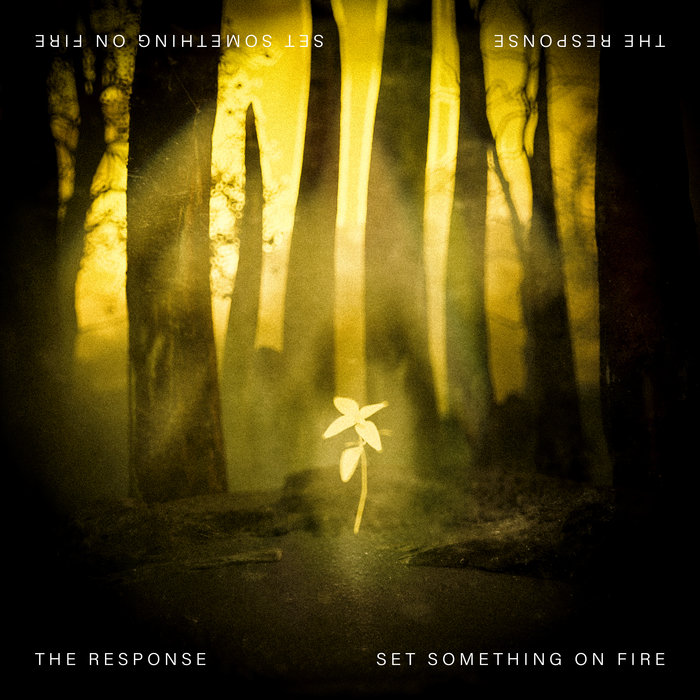 Set Something On Fire | The Response