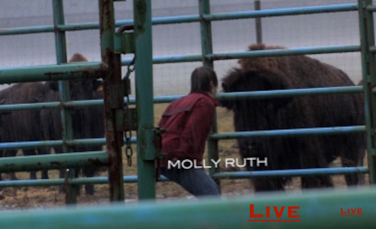 The Chain | Molly Ruth