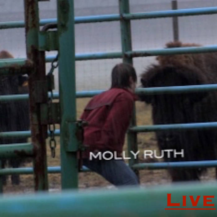 The Chain | Molly Ruth