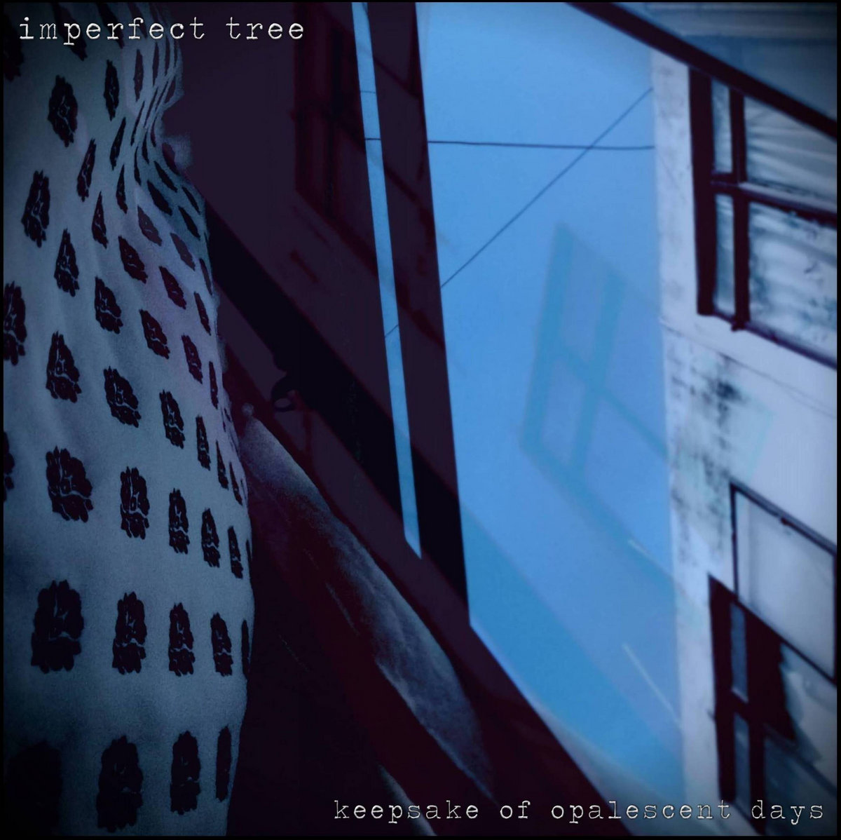 Keepsake Of Opalescent Days | imperfect tree