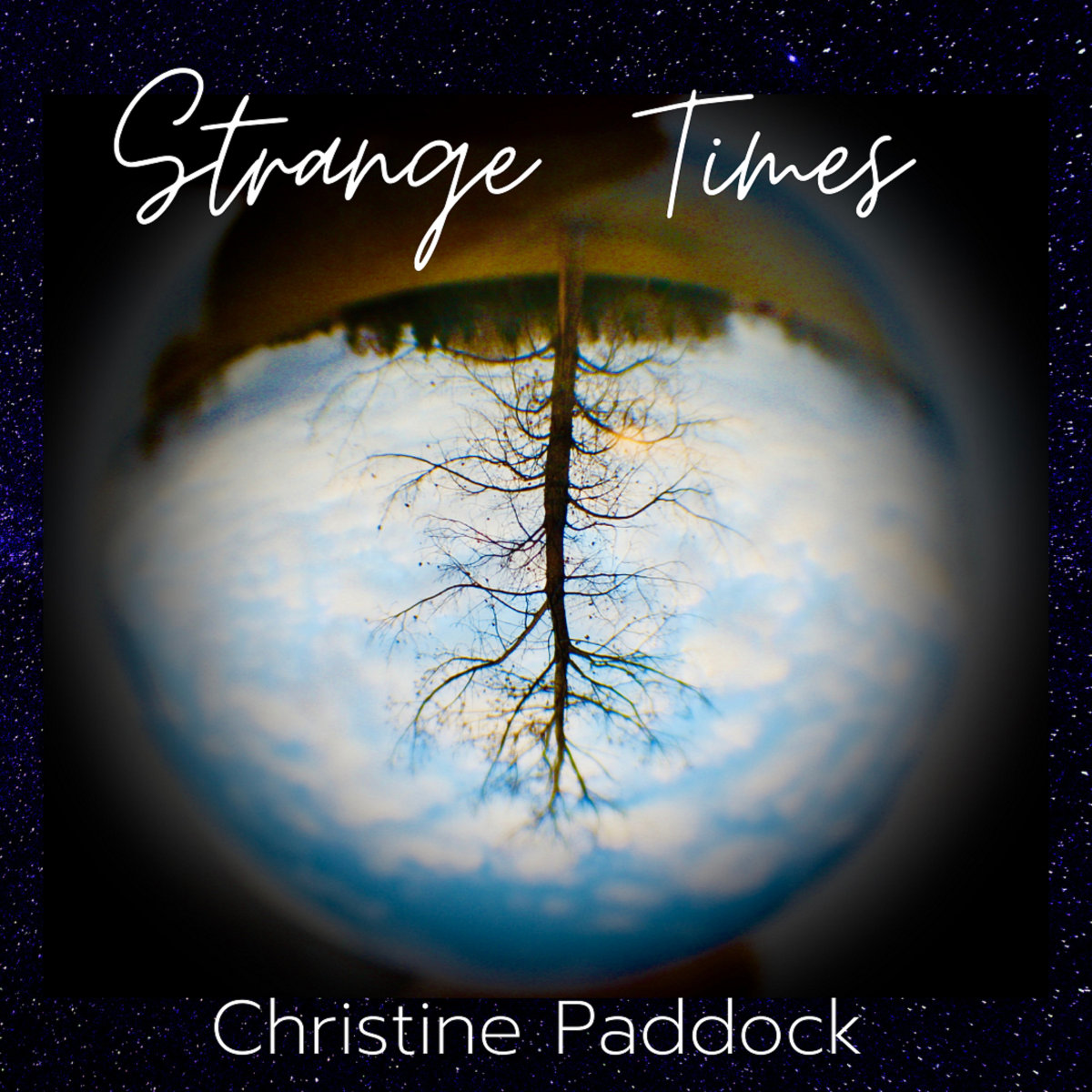 Strange Times | Christine Paddock