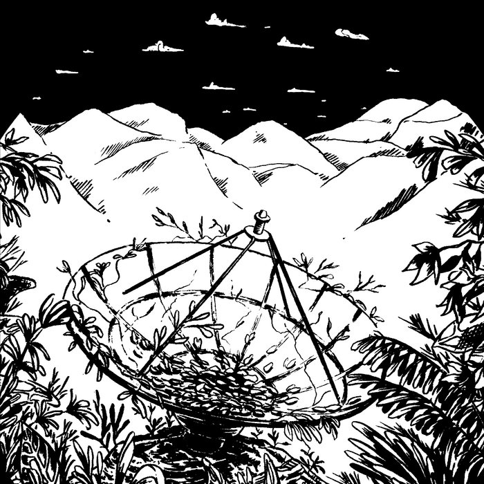 AMASIA | Fragments