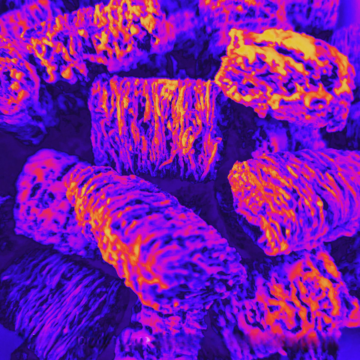 Crispy Hexagons by The Crispy Hexagons | The Crispy Hexagons