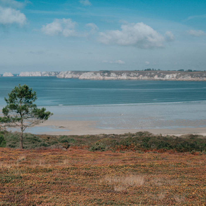 Irène en presqu'île | Philippe Bossard