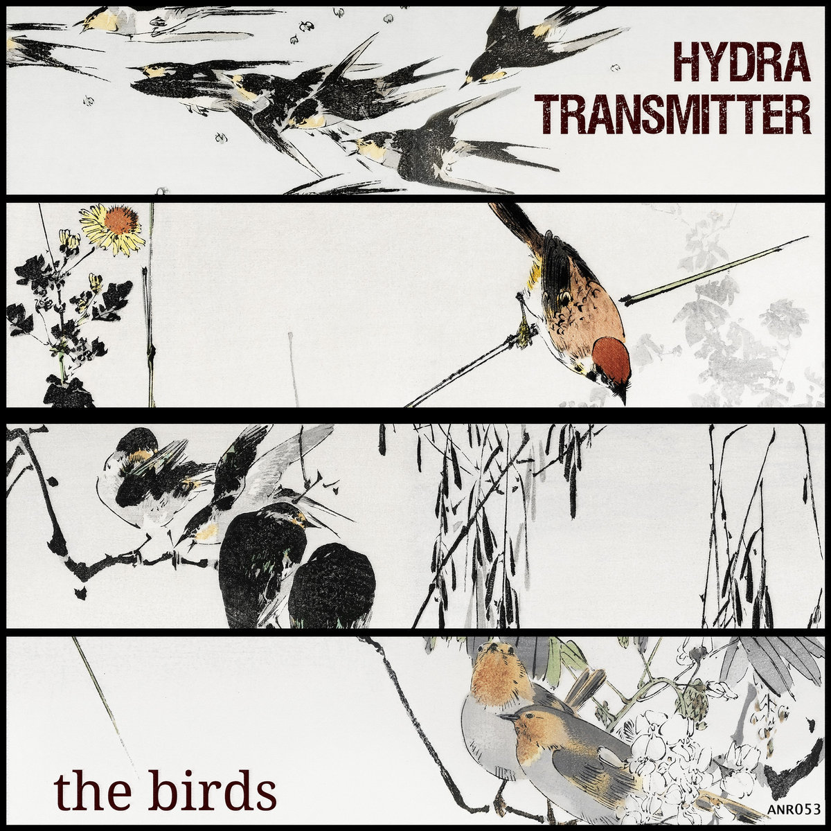 The Birds | Hydra Transmitter | Anticipating Nowhere Records