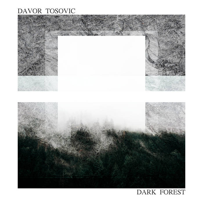 Dark Forest Cover Photos