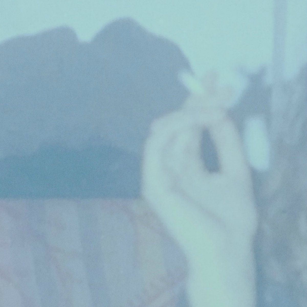 Deuce | Maxwell Nitch