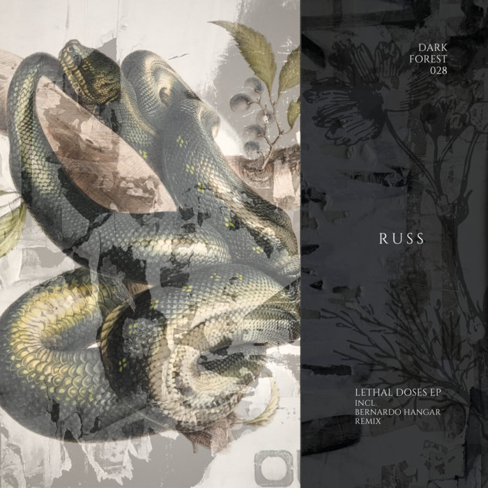Lethal Doses EP -DarkForest 028 | Russ (Arg) | DarkForest
