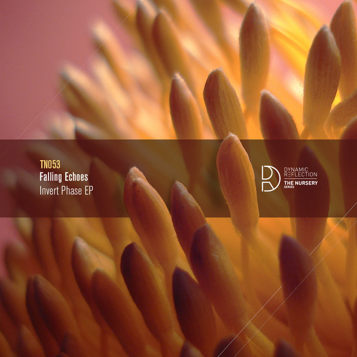 Invert Phase EP [TN053] | Falling Echoes | Dynamic Reflection