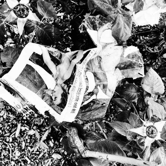 Hunger or Nausea | PERMANENT