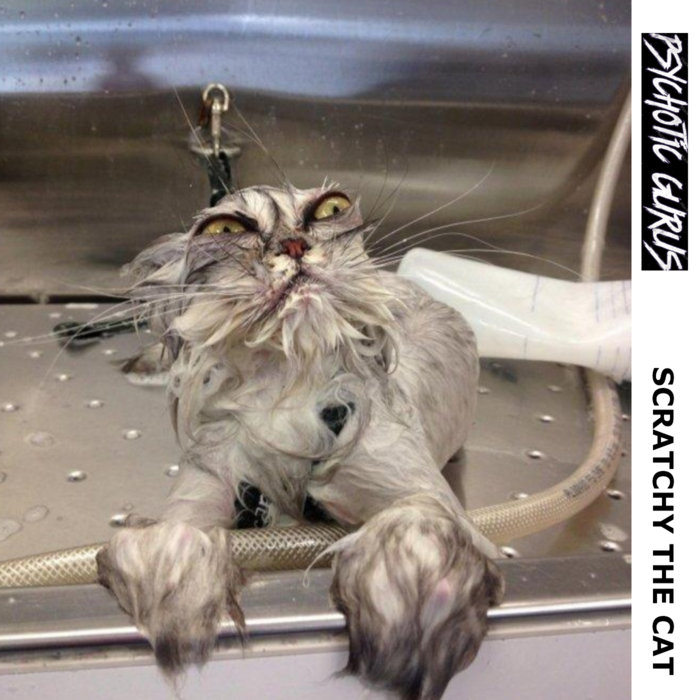 Scratchy The Cat EP | Psychotic Gurus | VOIDFACE OFFICIAL