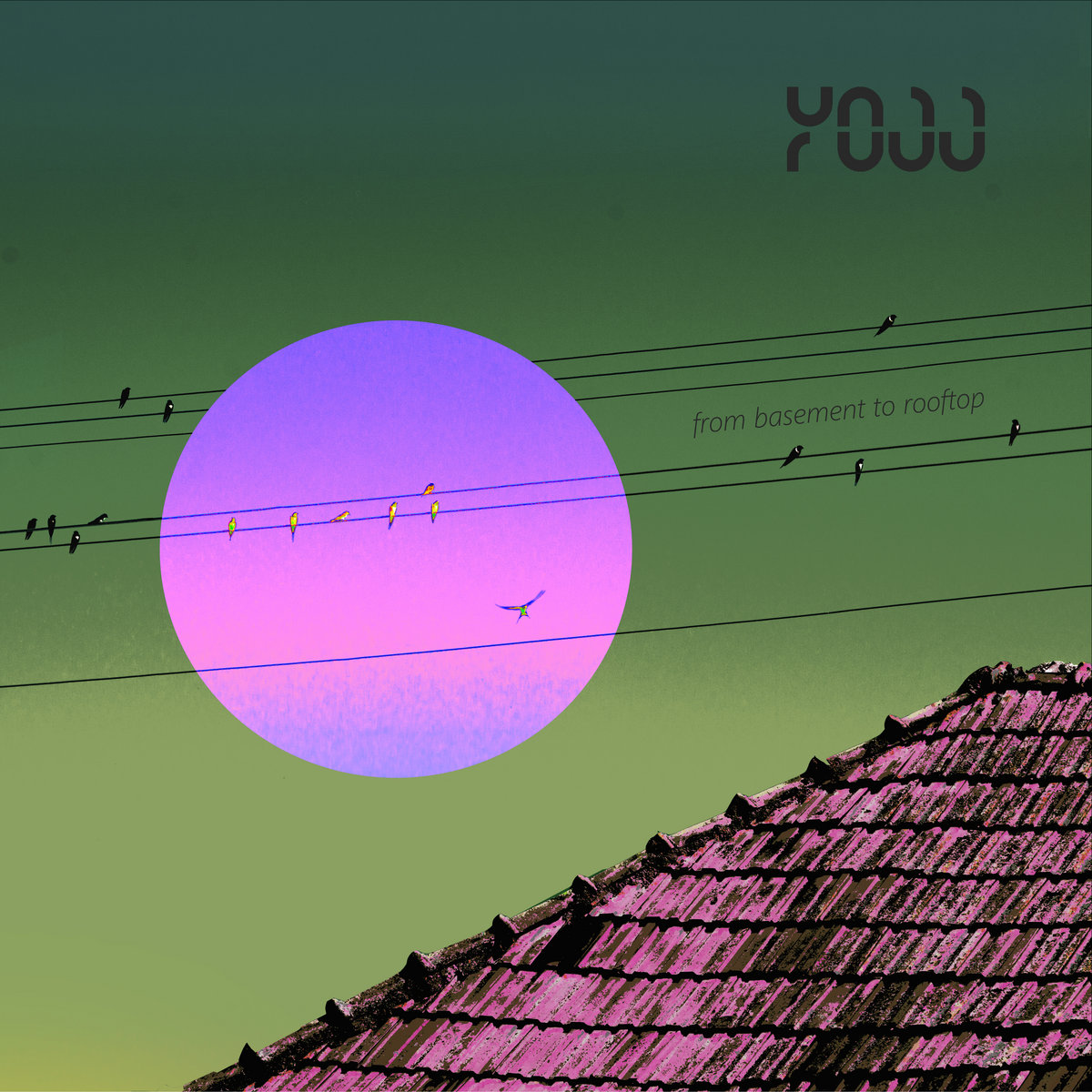 From basement to rooftop | Yojj