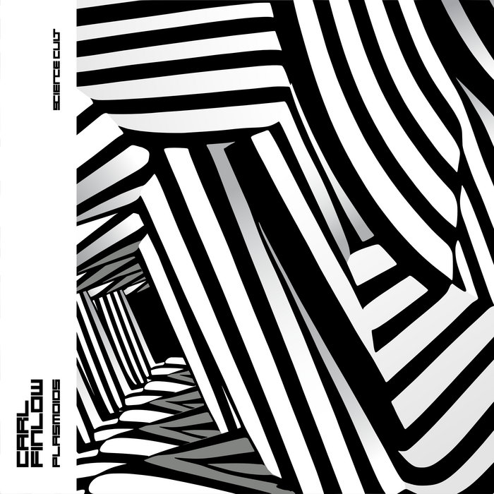 Plasmoids | Carl Finlow | Science Cult