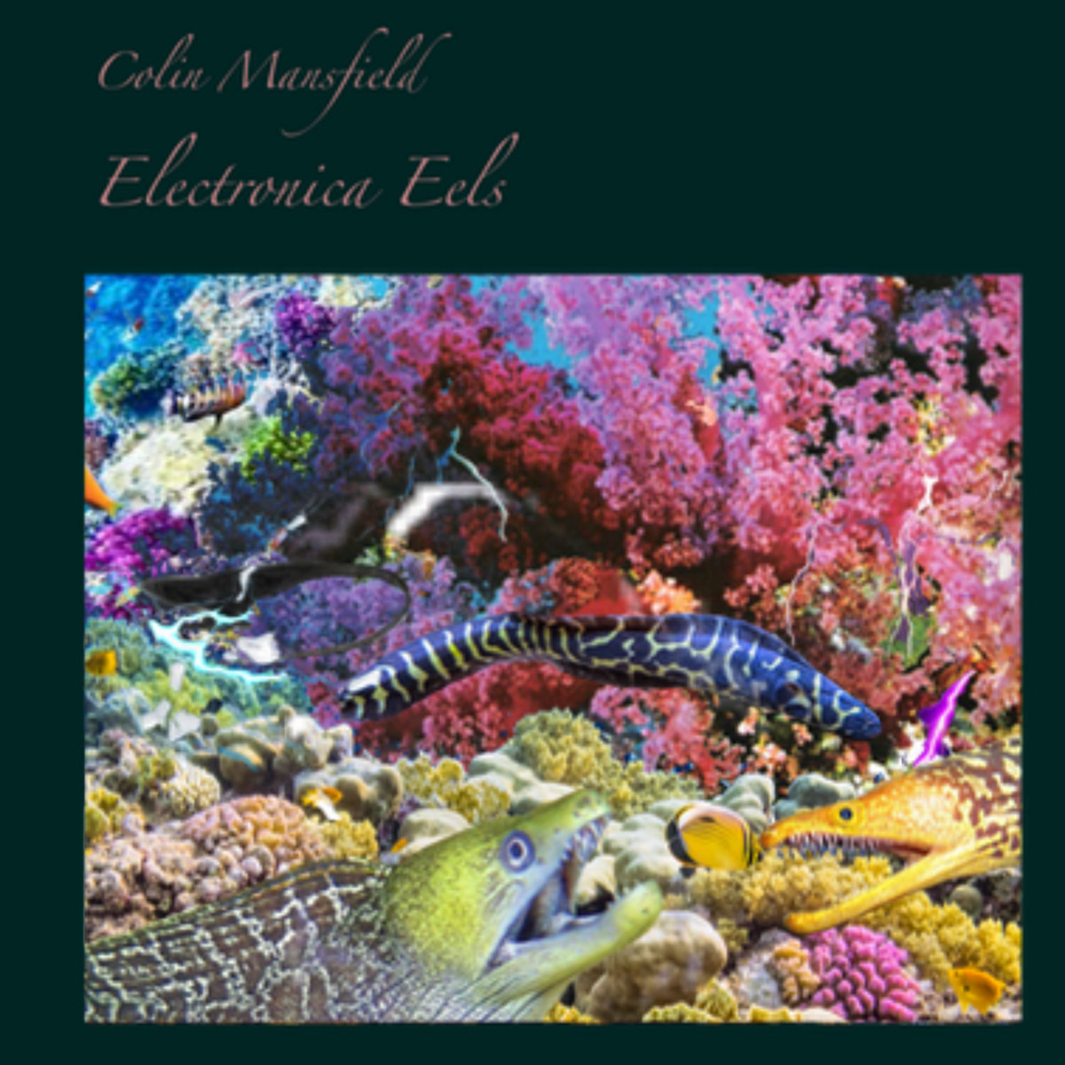 Electronica Eels | Colin Mansfield
