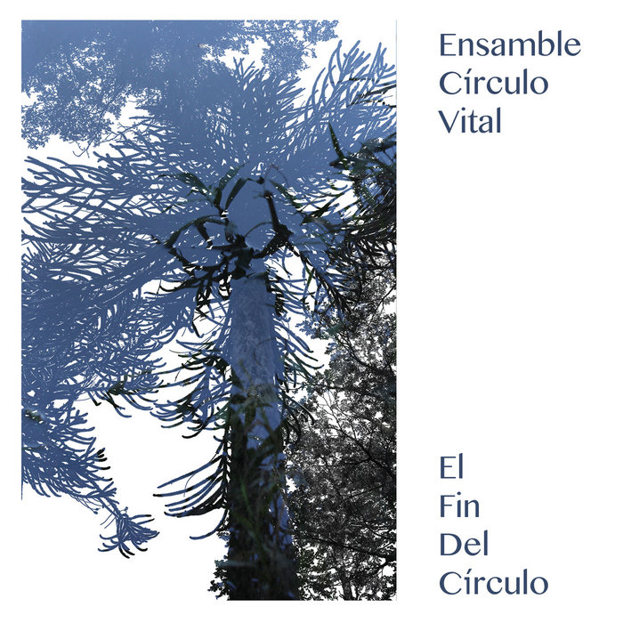 El Fin Del Círculo | ENSAMBLE CIRCULO VITAL | Halim Music