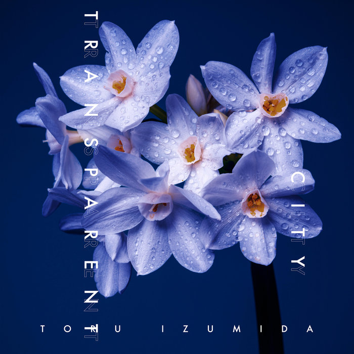 Transparent City | Toru Izumida