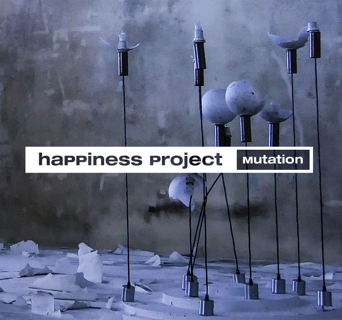 Mutation (Album) | Happiness Project | BOREDOMproduct