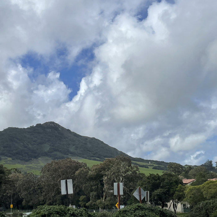 From Valley to Sea | Concrete Aloe