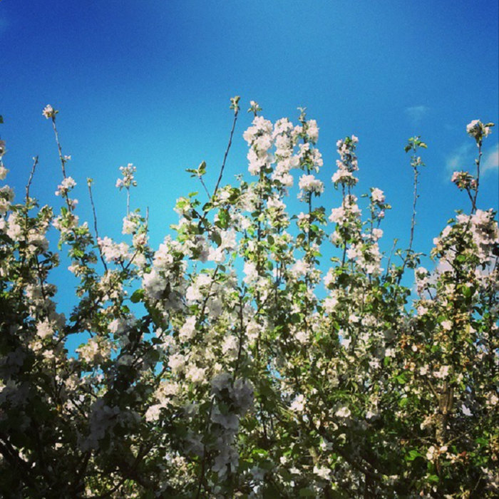 Maybe | Lone Project