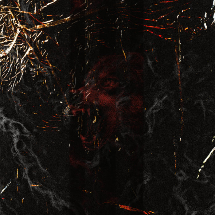 RIFTBORN | Kaï