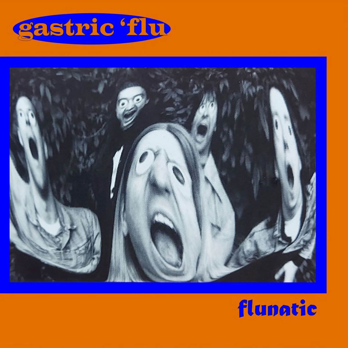 flunatic | Gastric 'Flu