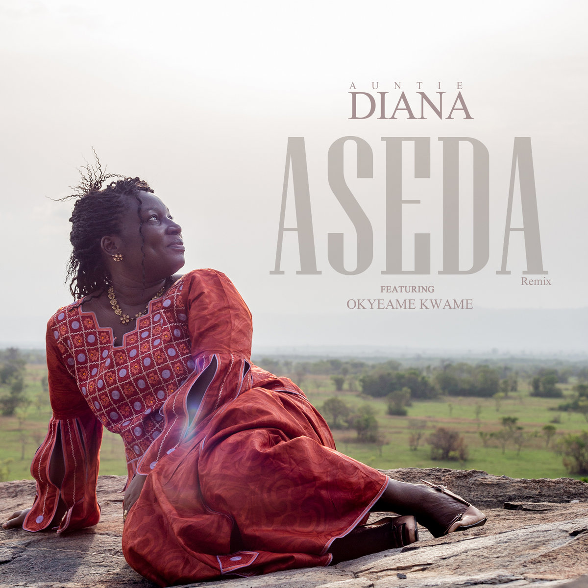 Aseda(Remix) | Auntie Diana