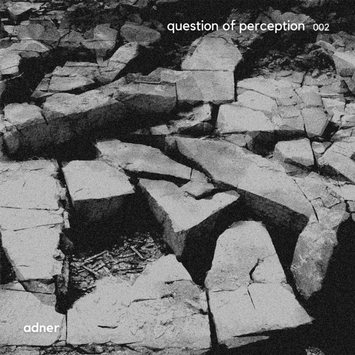 Question of Perception 002 | adner