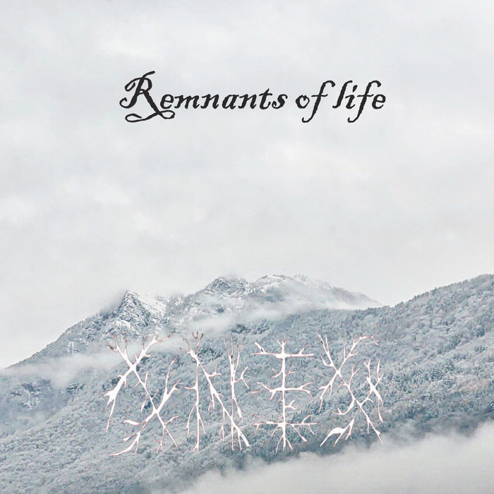 Remnants of life | Sneg