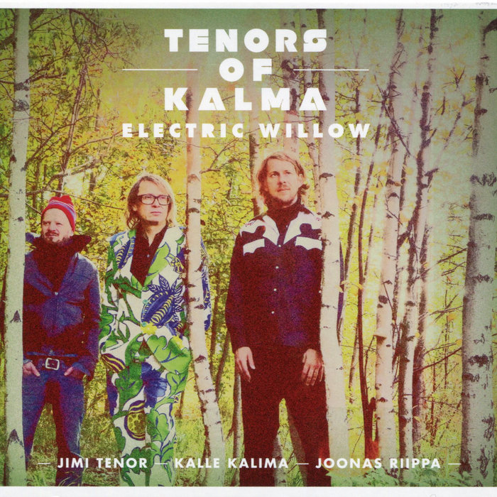 Electric Willow | Kalle Kalima, Jimi Tenor, Joonas Riippa | enja ...