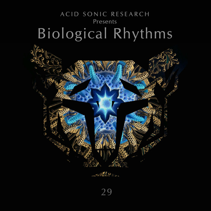 Biological Rhythms 29 | Kataconda | Biological Rhythms