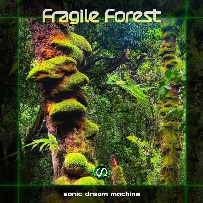 Fragile Forest | Sonic Dream Machine