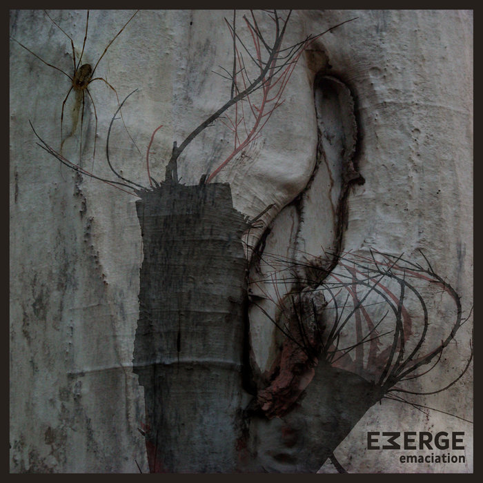 emaciation | -EMERGE- | attenuation circuit