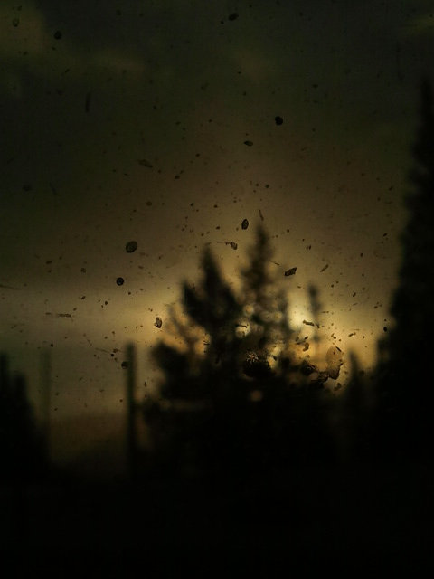 Shipwreck Off The Coast Of Mars | Mike Braudrick