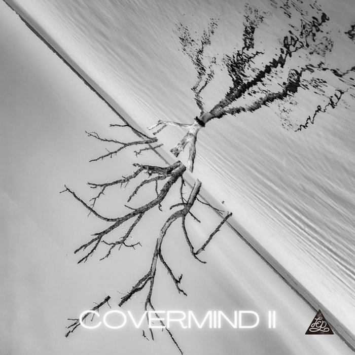 COVERMIND II | fox capture plan