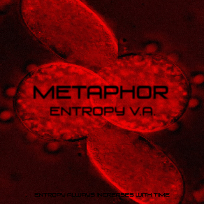 Entropy V.A. | Varius Artist | Metaphor Records