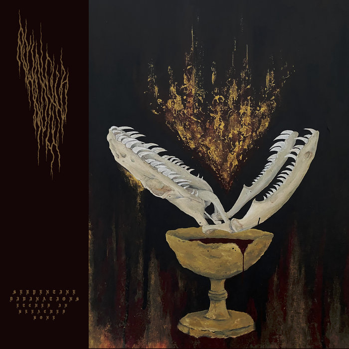 Serpentine Divinations Etched in Bleached Bone | RVINOUS NULL | RVINER