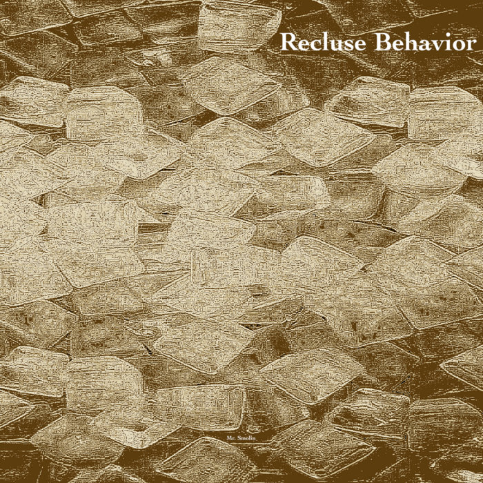 Recluse Behavior | Mr. Smolin