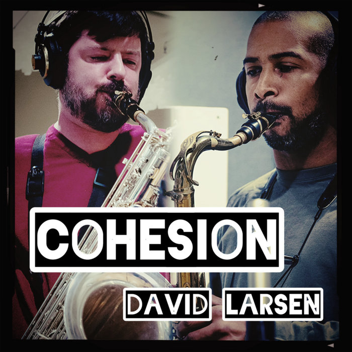 Cohesion | David Larsen