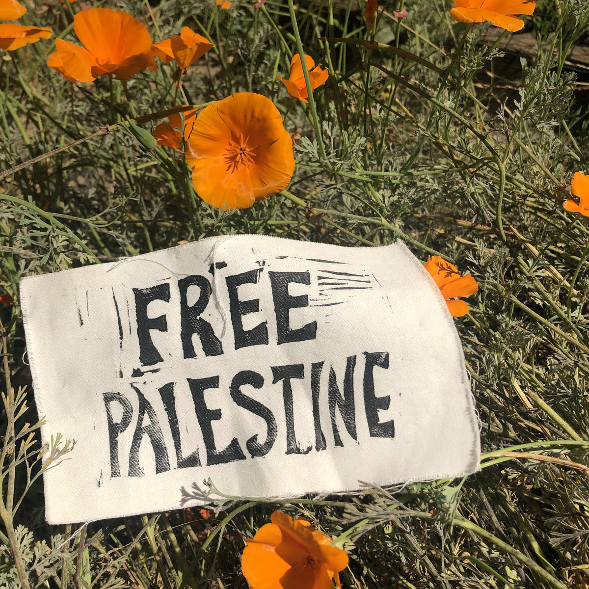 Song For Palestine | Medscool