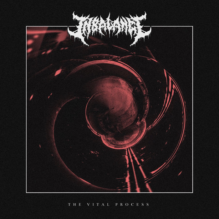 The Vital Process | IN BALANCE TX