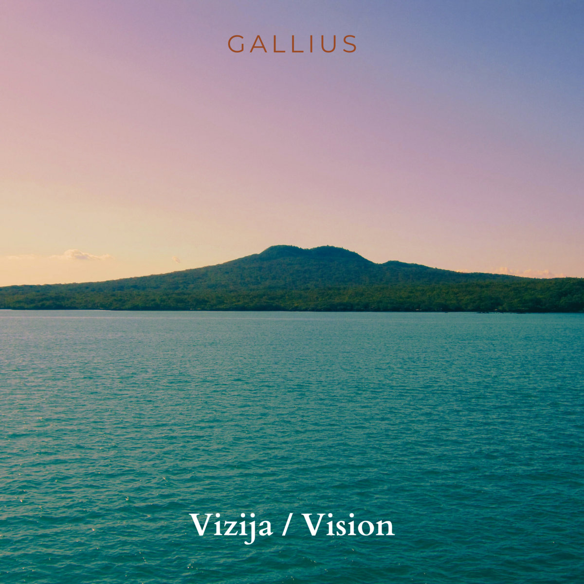 Vizija / Vision | Marko Galič - Gallius