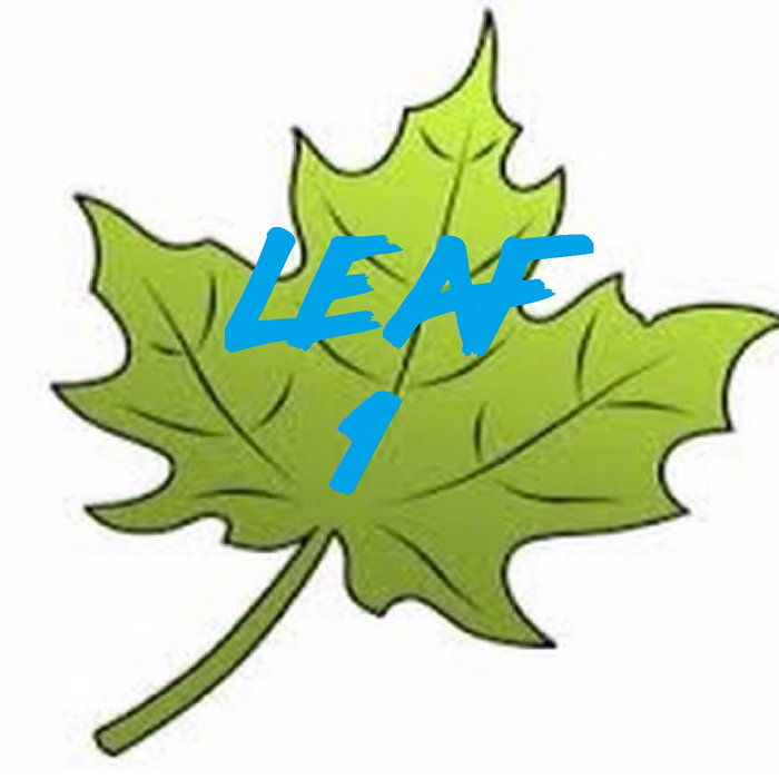 Leaf 1 | LeafxD | Leafxd