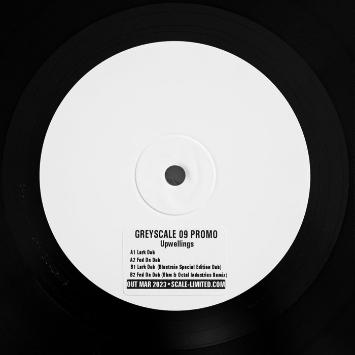 GREYSCALE 09 [TEST / PROMO] | Upwellings | Scale Limited